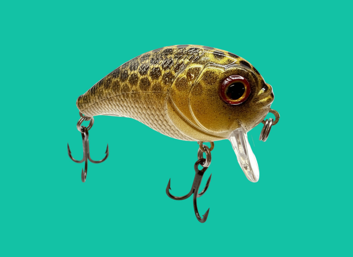 Black and gold Mini Wake Bait – Skinny Water Lures LLC